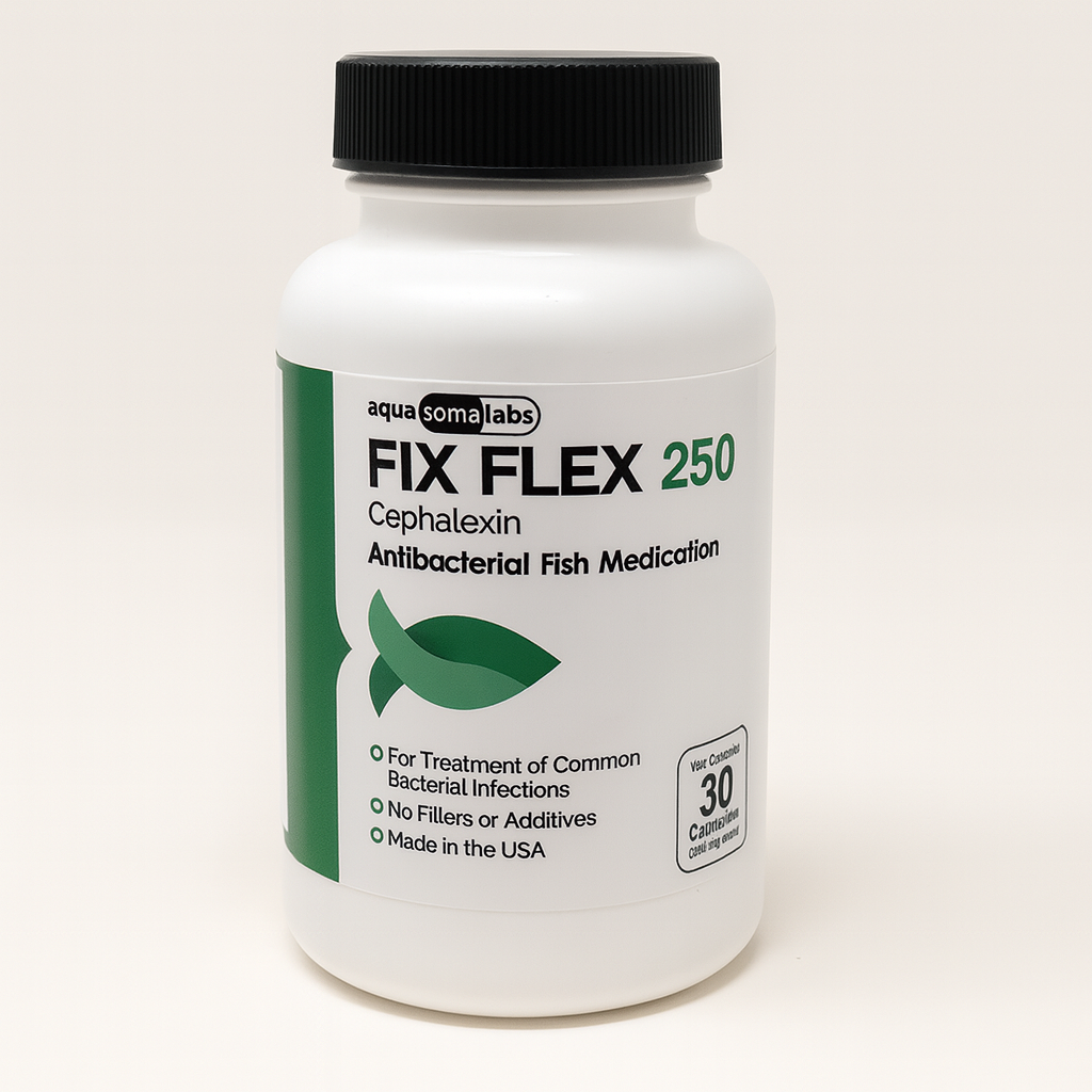 Fish Flex (Cephalexin) 250mg 30 Capsules Fish Antibiotics – BirdAntibiotic.com | Bird & Poultry ...