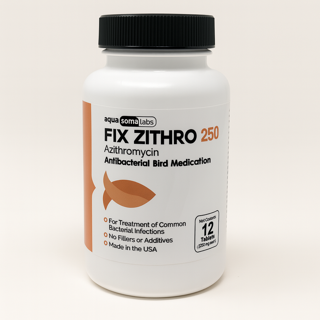 Fish Zithro (Azithromycin) 250mg 12 Tablets Fish Antibiotics ...
