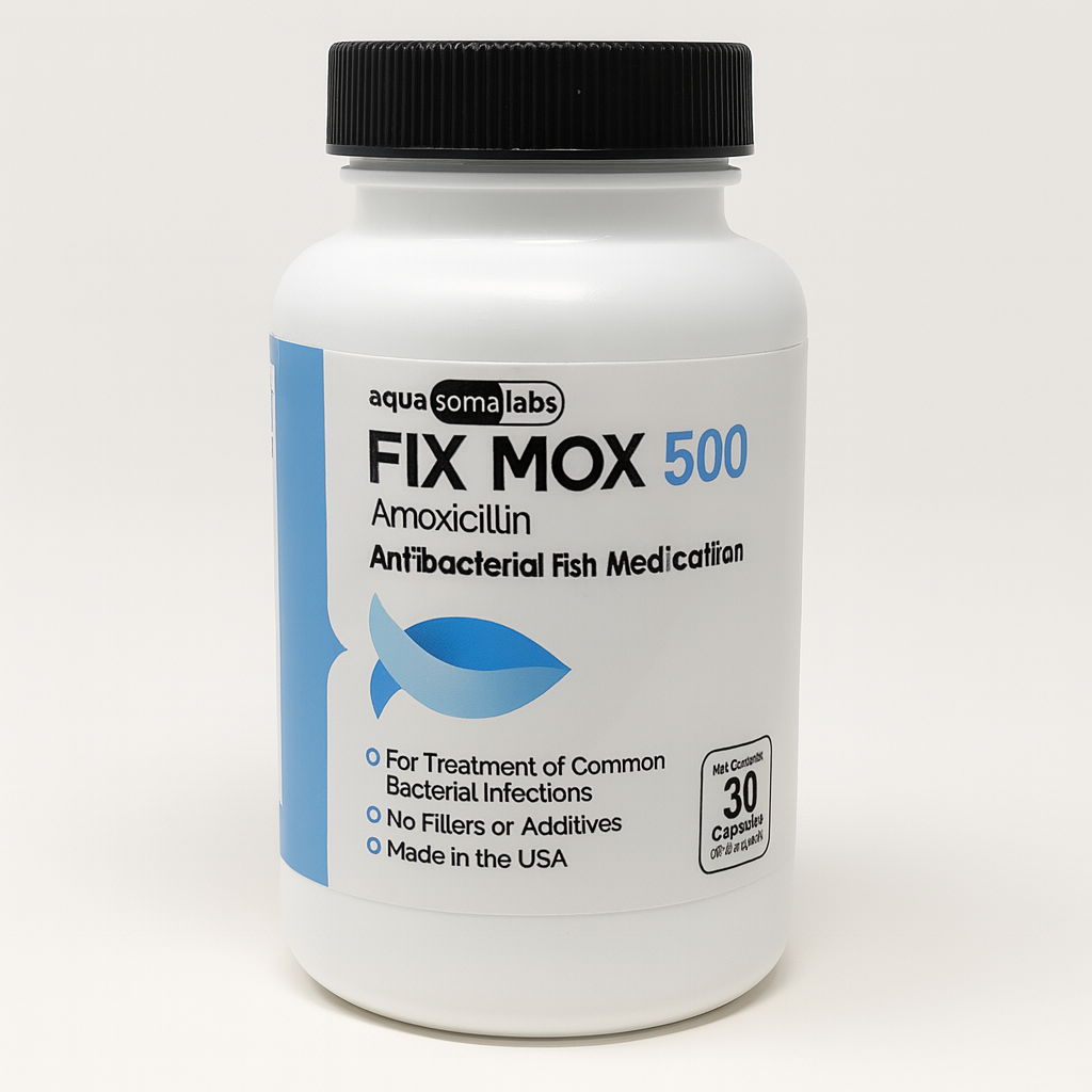 Fish Mox (Amoxicillin) 500 mg 30 Capsules Fish Antibiotics ...